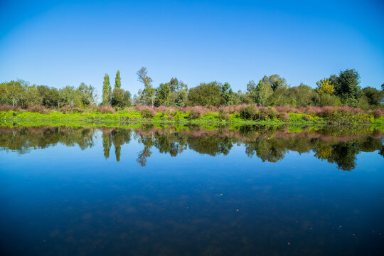 "Rio Minho"-Bilder: Stock-Fotos & -Videos. | Adobe Stock