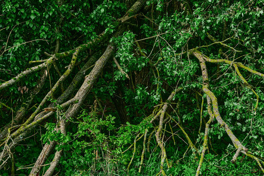 รูปภาพUpturned – เลือกดูภาพถ่ายสต็อก เวกเตอร์ และวิดีโอ16,028 | Adobe Stock