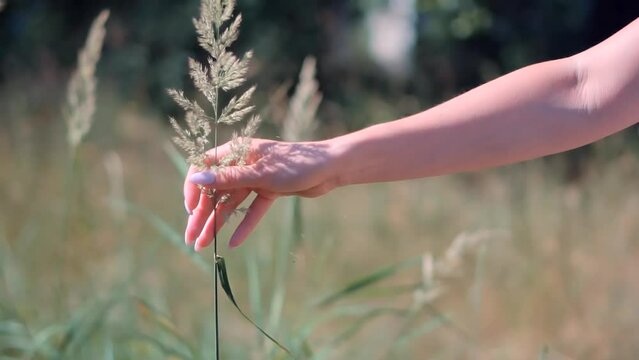 "Touch Grass" Images – Browse 27 Stock Photos, Vectors, and Video ...