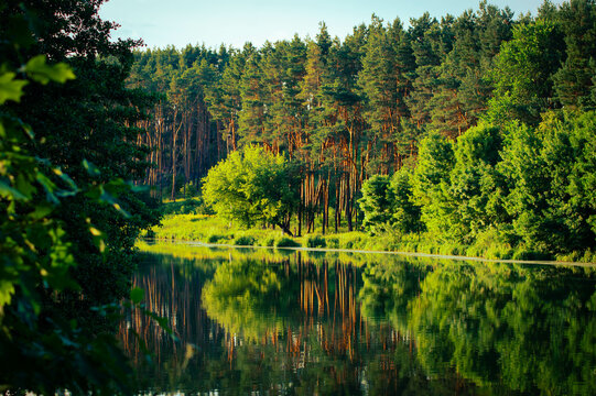 「Riwer」の写真素材 | 589件の無料イラスト画像 | Adobe Stock