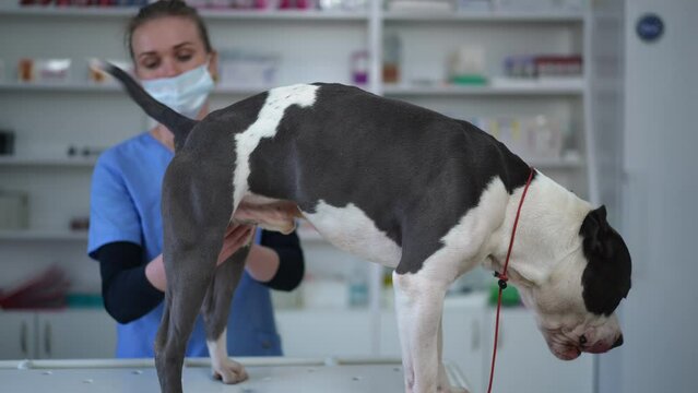 Palpation Images – Parcourir 5,406 le catalogue de photos, vecteurs et ...