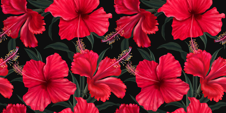 Hawaiian Flower Background Red