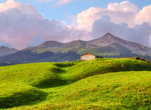 「Lumpy」の画像 - 2,654 件の Stock 写真、ベクターおよびビデオ | Adobe Stock