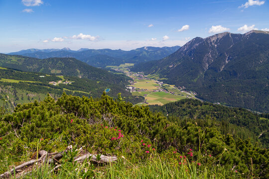 「Seekar」の写真素材 | 677件の無料イラスト画像 | Adobe Stock