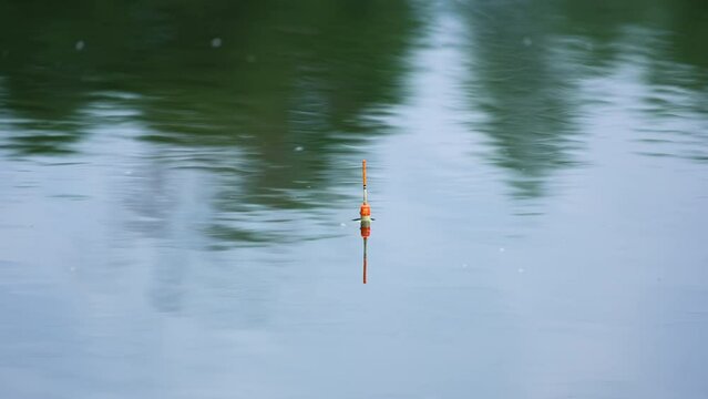 Unmoved Bilder – Durchsuchen 2,667 Archivfotos, Vektorgrafiken und ...