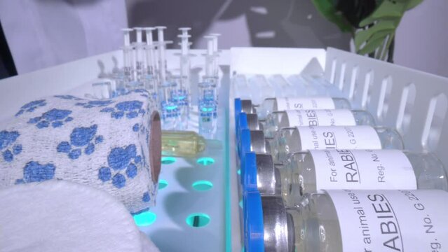 "Rabies Vaccine" Images – Browse 346 Stock Photos, Vectors, and Video ...