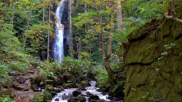 Imágenes de Kumoi: descubre bancos de fotos, ilustraciones, vectores y ...
