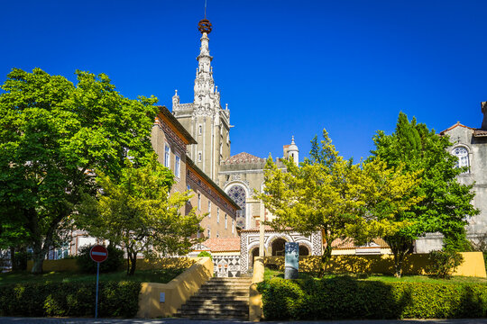 Imágenes de Luso: descubre bancos de fotos, ilustraciones, vectores y ...