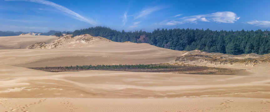 Wydmy Images – Browse 2,767 Stock Photos, Vectors, and Video | Adobe Stock