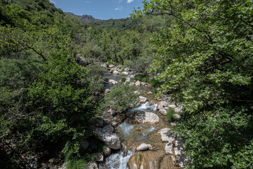 Plakat Dan River, originating from Tel Dan springs, the largest of the ...