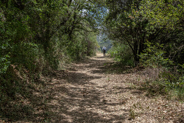 Plakat Dan River, originating from Tel Dan springs, the largest of the ...