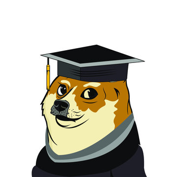 College Graduation Meme Dog