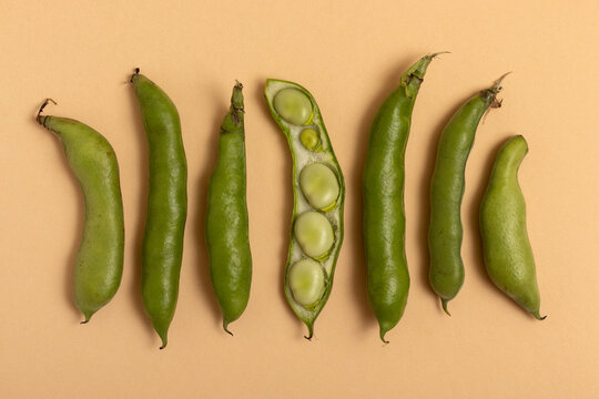 Legume Pods