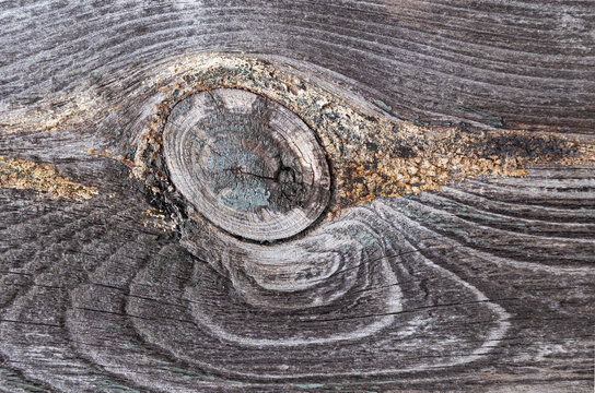 รูปภาพBatten – เลือกดูภาพถ่ายสต็อก เวกเตอร์ และวิดีโอ46,911 | Adobe Stock