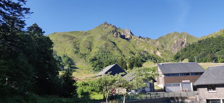 Bess Bilder – Durchsuchen 1,054 Archivfotos, Vektorgrafiken und Videos ...