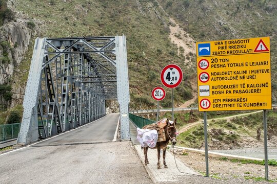 Eselsbrücke Bilder – Durchsuchen 699 Archivfotos, Vektorgrafiken und ...