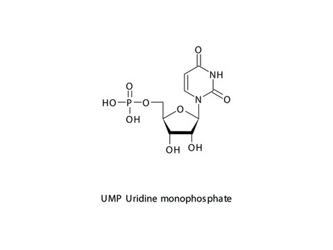 Uridine Monophosphate