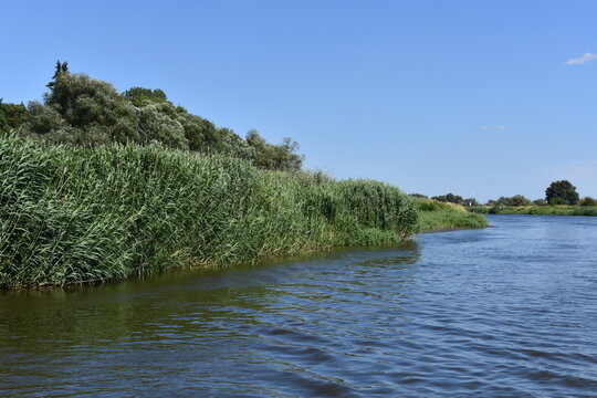 Imágenes de Warta: descubre bancos de fotos, ilustraciones, vectores y ...