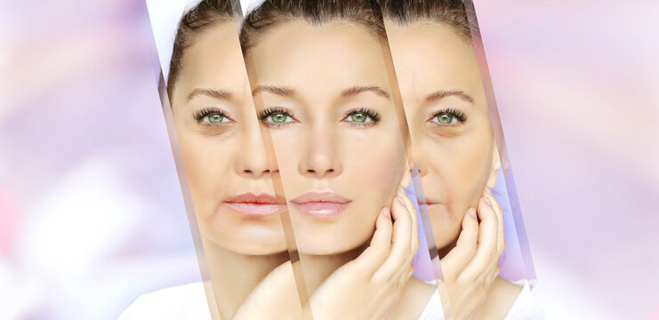 Phototype 이미지 – 찾아보기 220 스톡 사진, 벡터 및 비디오 | Adobe Stock