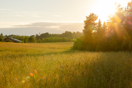 "Hay Fields" Images – Browse 499 Stock Photos, Vectors, and Video ...