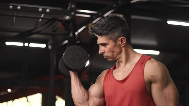 รูปภาพForearms – เลือกดูภาพถ่ายสต็อก เวกเตอร์ และวิดีโอ29,987 | Adobe Stock