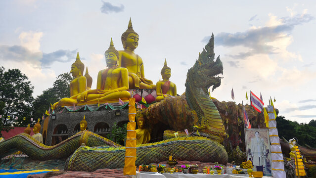 Suwan Bilder – Durchsuchen 559 Archivfotos, Vektorgrafiken und Videos ...