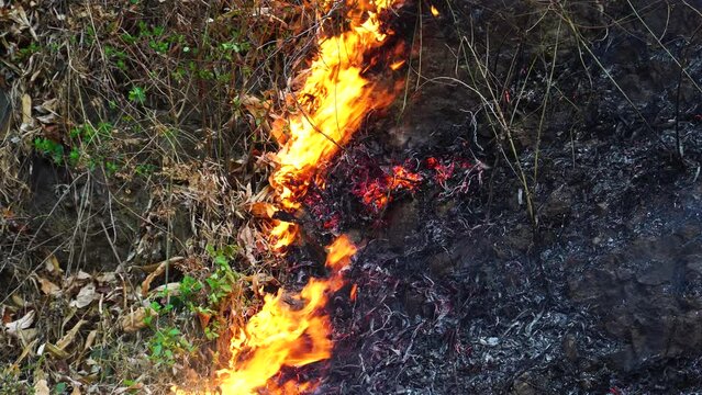 "Prescribed Burning" Images – Browse 8,315 Stock Photos, Vectors, and ...