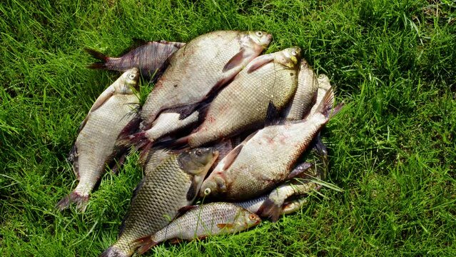 Twitching Images – Parcourir 20,900 le catalogue de photos, vecteurs et ...