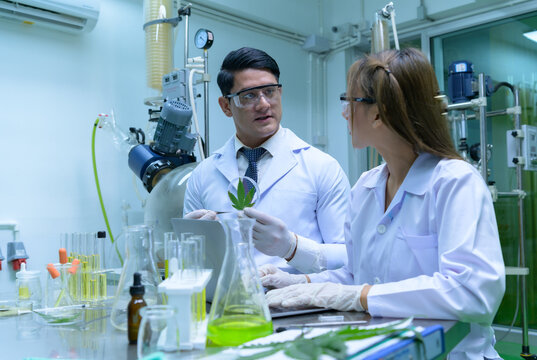 Chemist Images – Browse 345,604 Stock Photos, Vectors, and Video ...