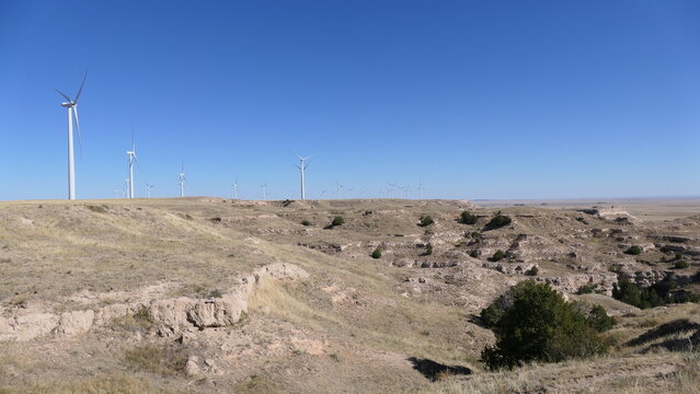 Peetz Images – Browse 14 Stock Photos, Vectors, and Video | Adobe Stock