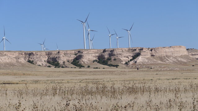 Peetz Images – Browse 14 Stock Photos, Vectors, and Video | Adobe Stock