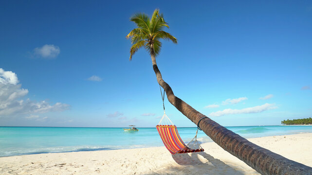 Chillen Bilder – Durchsuchen 25,542 Archivfotos, Vektorgrafiken und ...