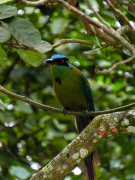 Barranquero Images – Browse 174 Stock Photos, Vectors, and Video ...