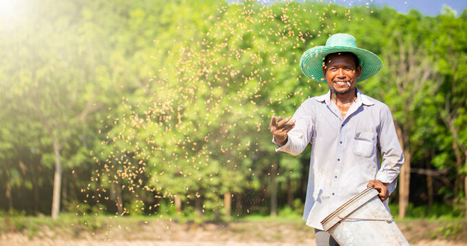 Sower Images – Parcourir 2,392 le catalogue de photos, vecteurs et ...