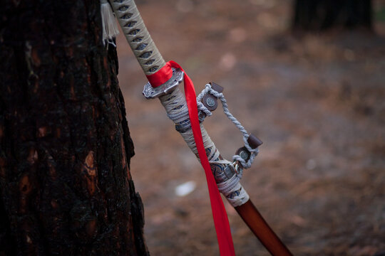 Imágenes de Onna-Bugeisha: descubre bancos de fotos, ilustraciones ...