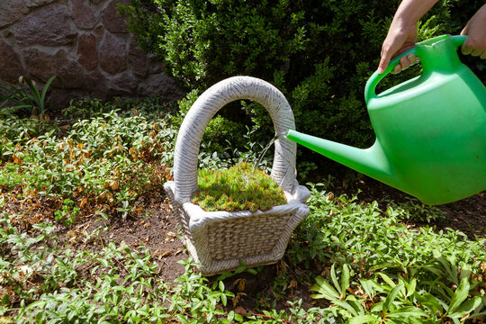 Rabatten bilder – Bläddra bland 479,427 stockfoton, vektorer och videor ...