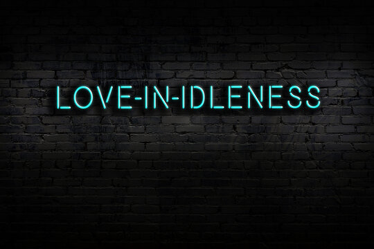 Love-In-Idleness Bilder – Durchsuchen 10,626 Archivfotos ...