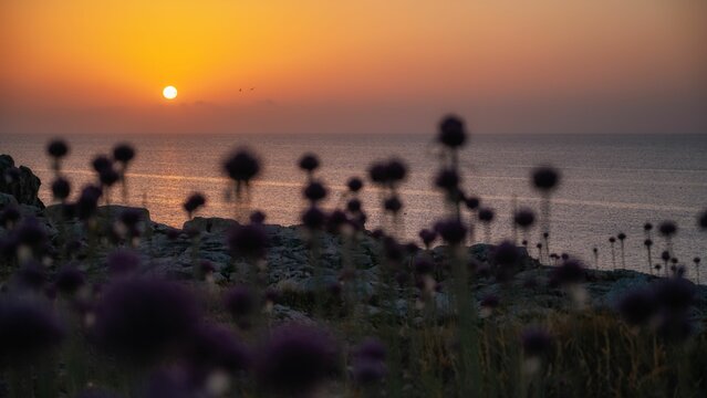 Spontaneous Images – Browse 33,080 Stock Photos, Vectors, and Video ...