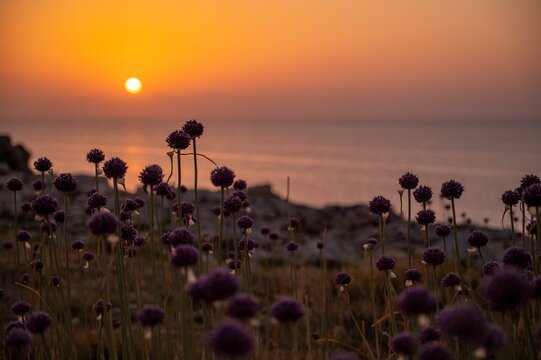 Spontaneous Images – Browse 33,080 Stock Photos, Vectors, and Video ...