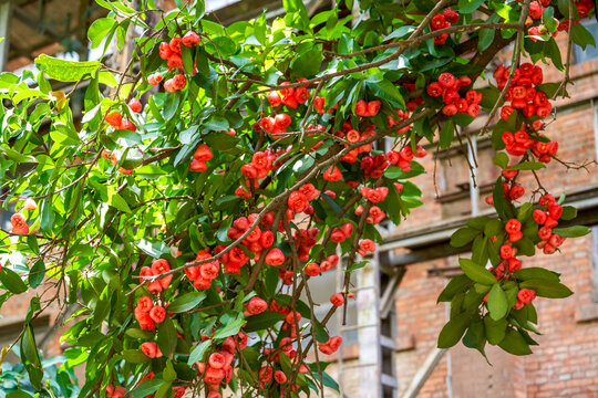 รูปภาพJamalac – เลือกดูภาพถ่ายสต็อก เวกเตอร์ และวิดีโอ2,352 | Adobe Stock