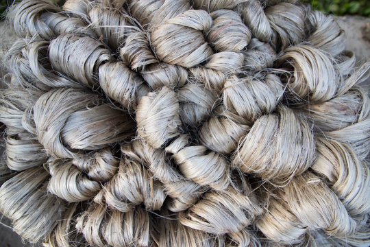 "Jute Bilder – Durchsuchen 109,470 Archivfotos, Vektorgrafiken und ...