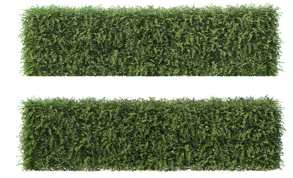 รูปภาพHedge – เลือกดูภาพถ่ายสต็อก เวกเตอร์ และวิดีโอ582,655 | Adobe Stock