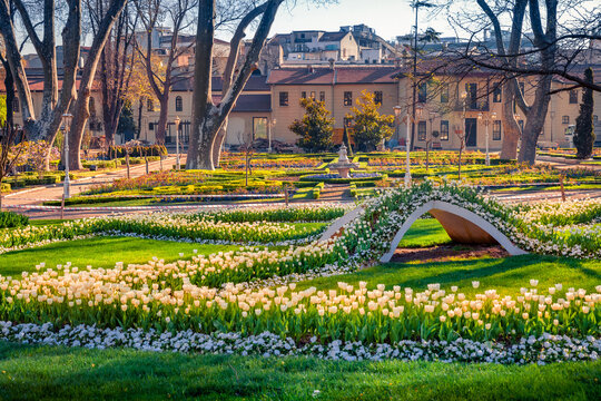 Andrew Mayovskyy 사진, 이미지, 에셋 | Adobe Stock