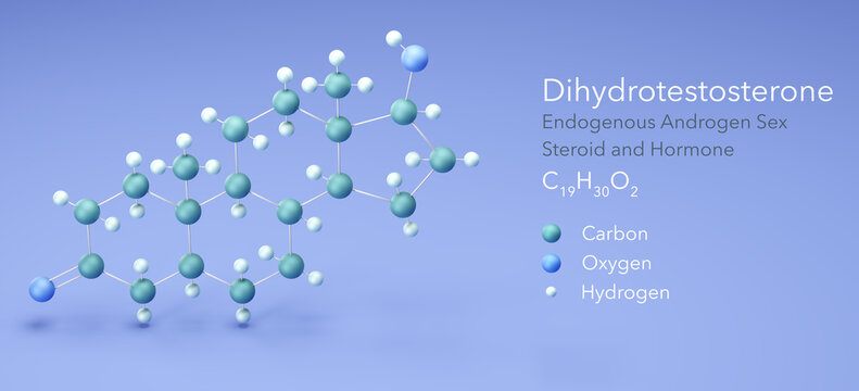 Anabolex Images – Browse 519 Stock Photos, Vectors, and Video | Adobe Stock