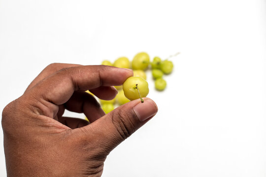 Orboroi Images – Browse 64 Stock Photos, Vectors, and Video | Adobe Stock