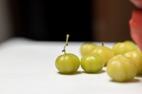 Orboroi Images – Browse 57 Stock Photos, Vectors, and Video | Adobe Stock