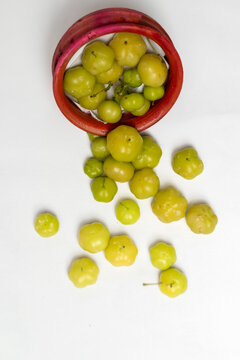 Orboroi Images – Browse 52 Stock Photos, Vectors, and Video | Adobe Stock