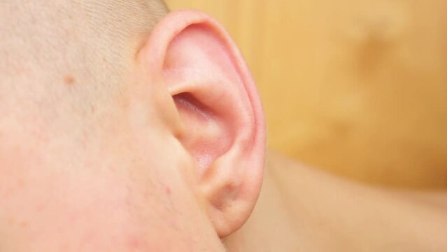 Left And Right Ears