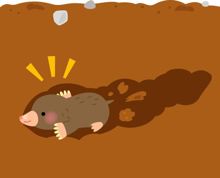 Pfettenkopf Bilder – Durchsuchen 704 Archivfotos, Vektorgrafiken und ...