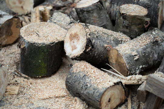 Sterta Images – Browse 460 Stock Photos, Vectors, and Video | Adobe Stock